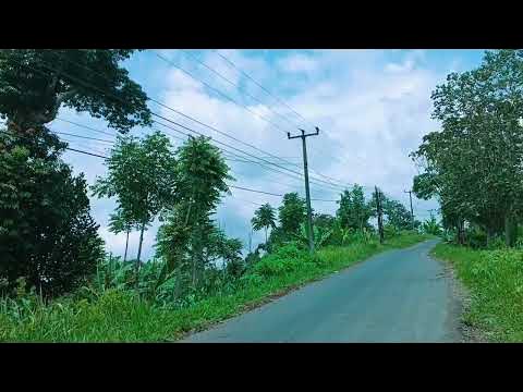 vlog alam di gunung Sirah Kuningan - YouTube