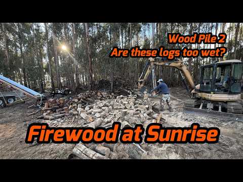 Firewood at Sunrise - Wood Pile 2 Full Bore Production - 2025 #22 - YouTube