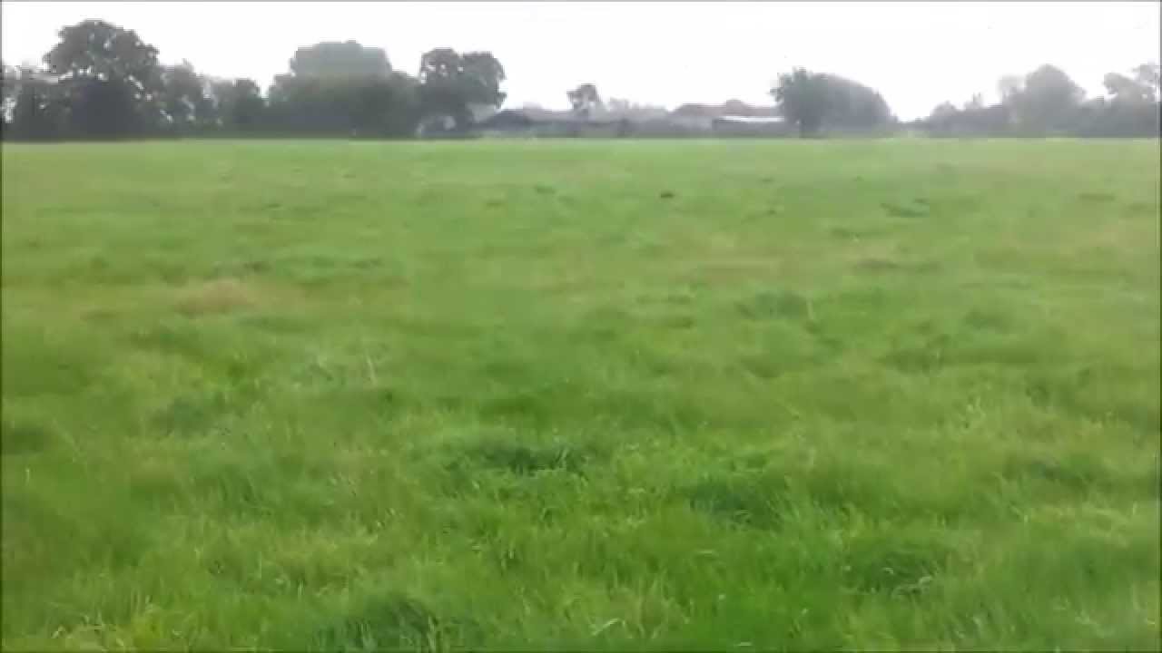 Wildflower meadow creation 3 months on - YouTube