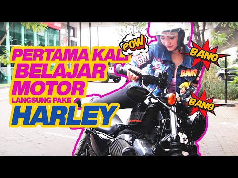 SAYANGAN MOTORNYA APA ORANGNYA..| AMEL ALVI IKUT MERAMAIKAN HOBI MOTOR GEDE #MHDDC #HDCI