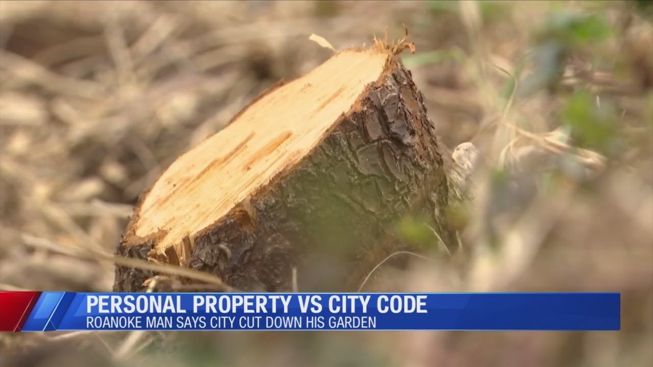 City Code vs. Private Property: man's garden cut down by city - YouTube