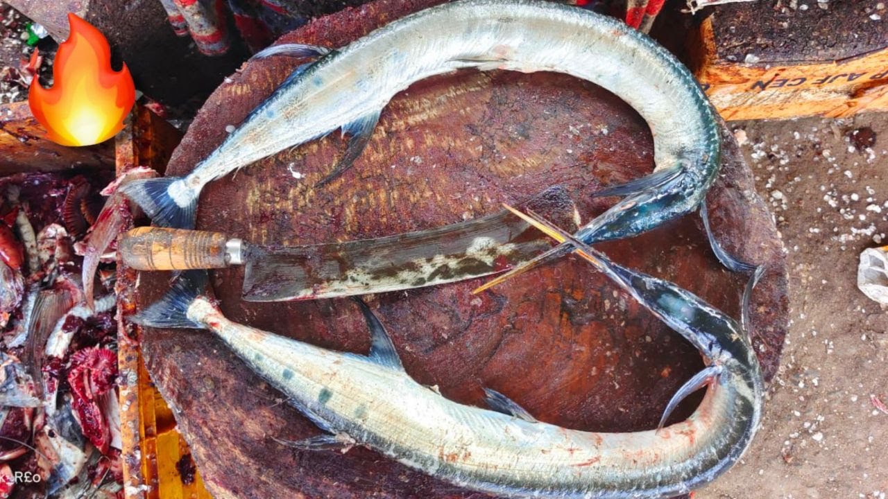 VERY RARE!!! OOSI KOLA FISH CUTTING💥| KASIMEDU SELVAMI FISH CUTTING ...