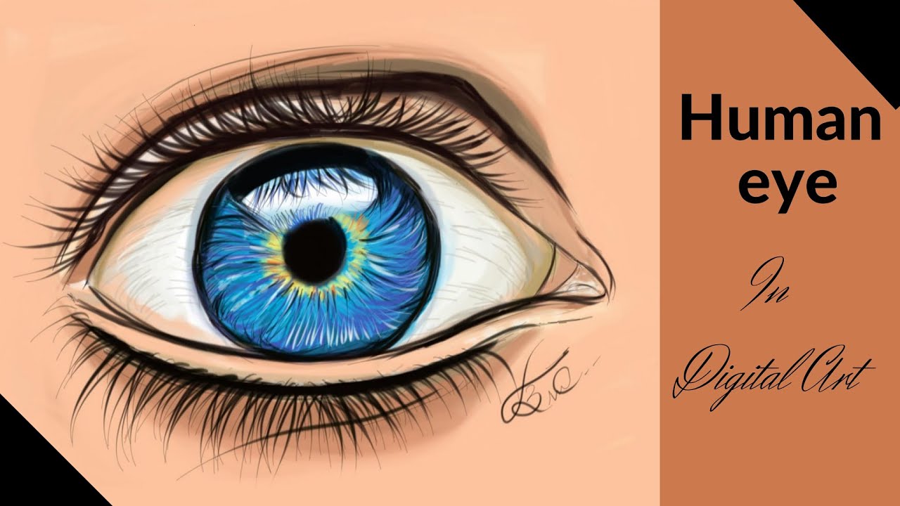 How to draw an eye |digital by using sketchbook |digital art| கண் ...