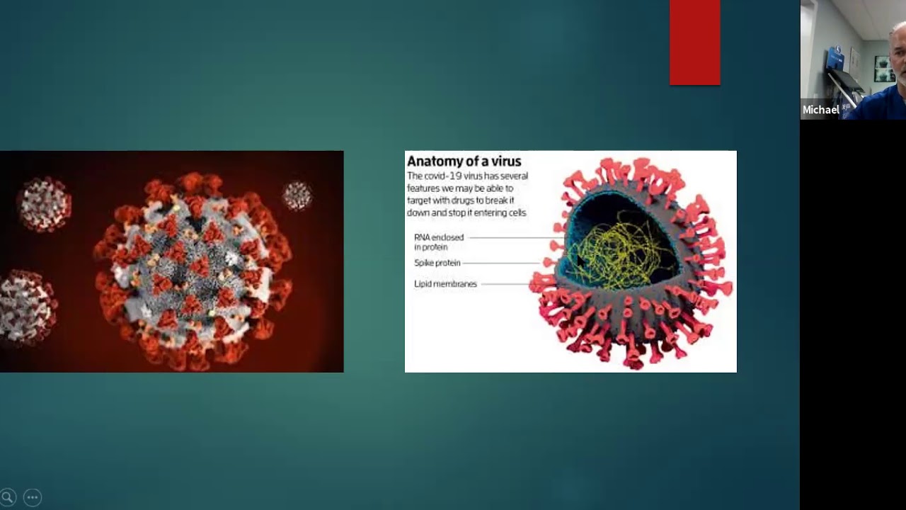 Dr Wild presentation - YouTube