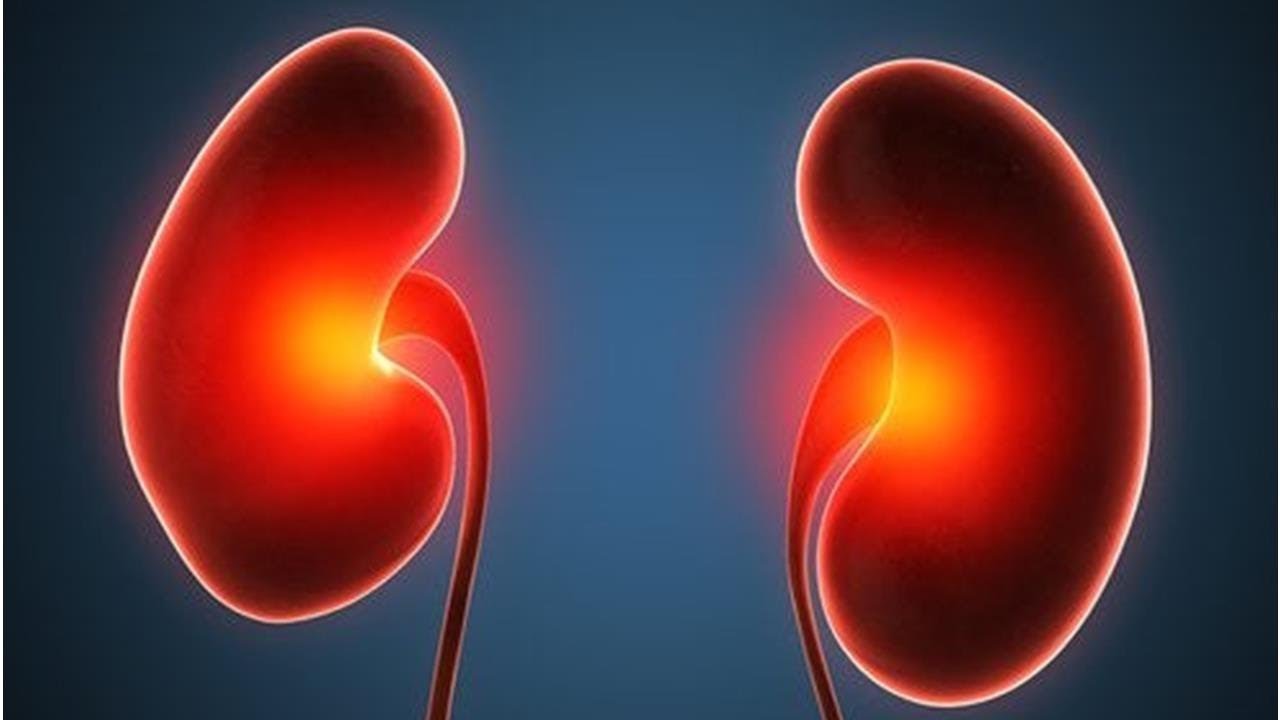 Tratamientos del absceso renal | Maha TV - YouTube