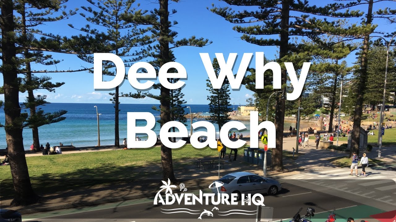 Dee Why Beach - YouTube