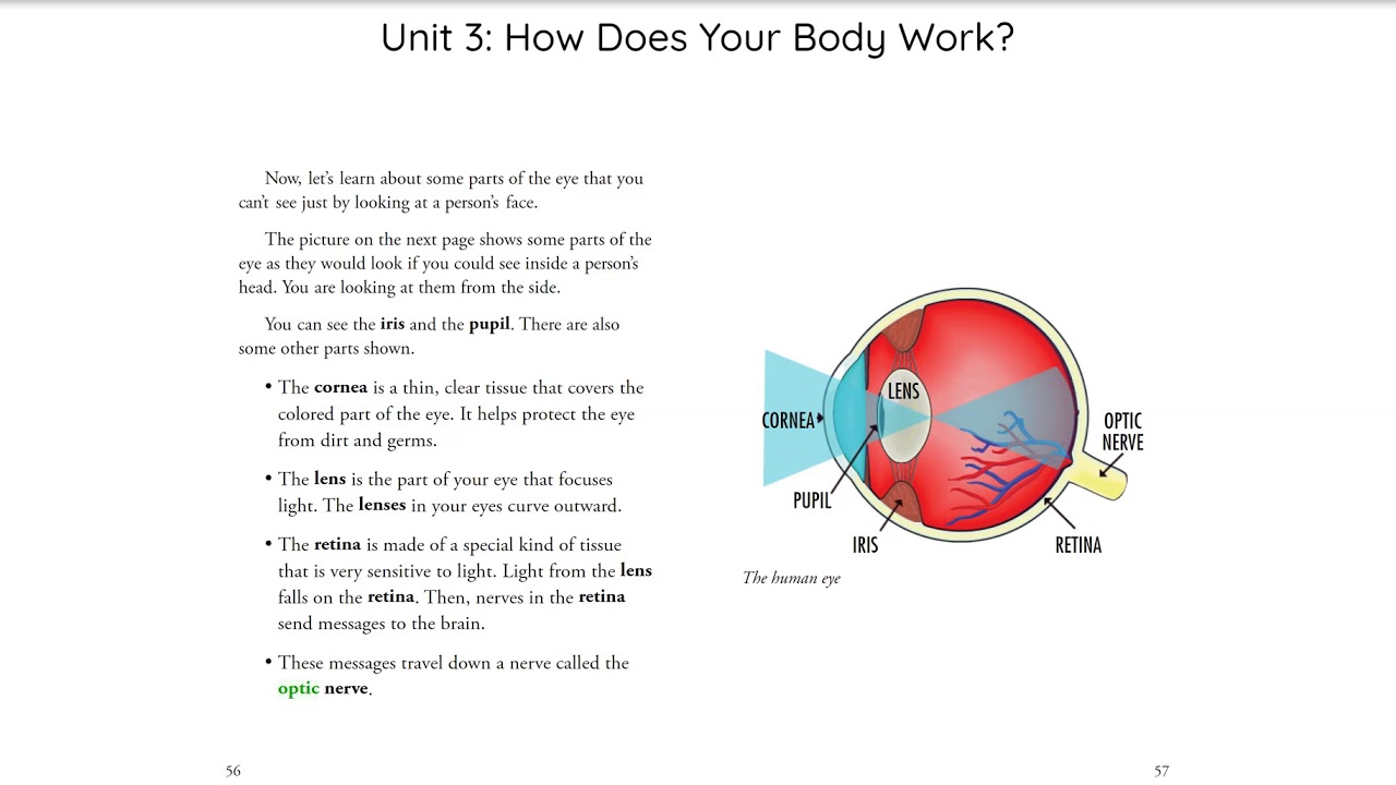 Unit 3 Chapter 7 Eyes and Vision CKLA 3rd Grade - YouTube