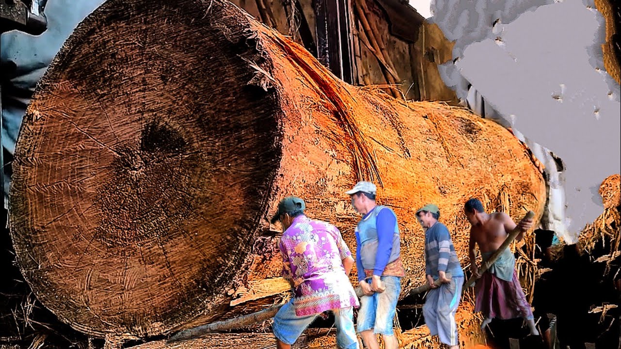 Incredible big Wood Cutting Skill || out of the woods sawmill - YouTube