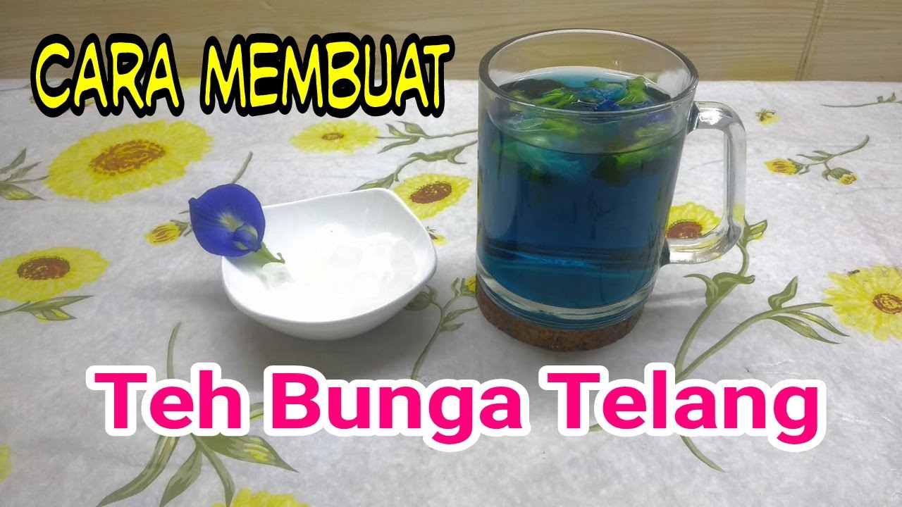 Teh Bunga Telang, Cara Membuat Teh Bunga Telang Segar ,Teh Biru - YouTube