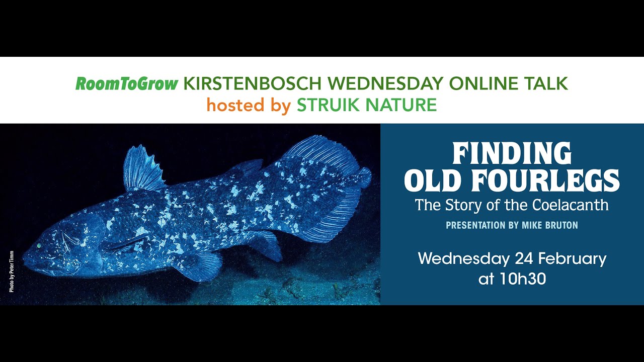 'Finding Old Fourlegs' presented by Prof Mike Bruton - YouTube