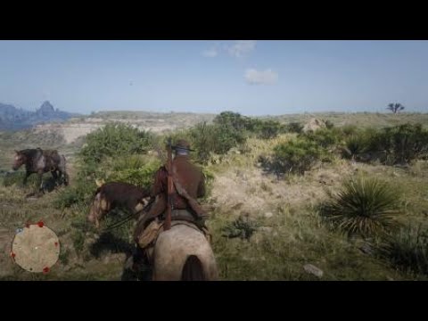 Red Dead Online - Mud Runner Buck - YouTube