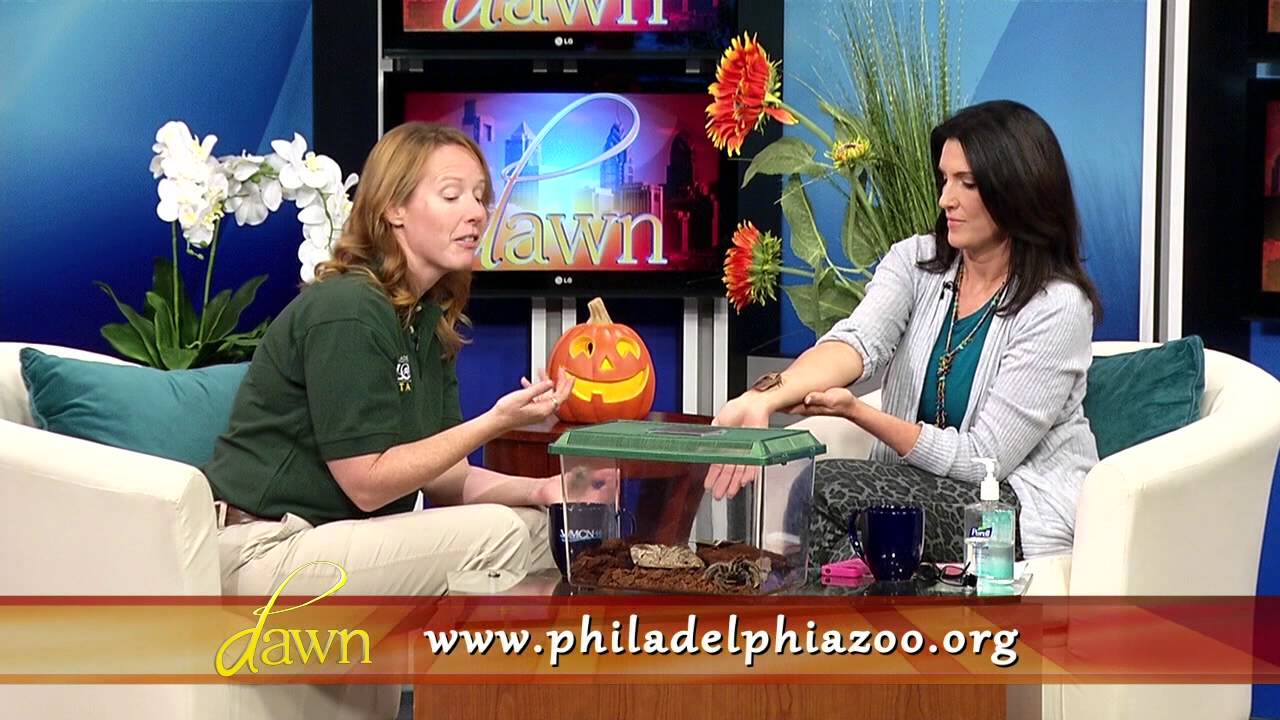 Dawn Episode 086 PHILADELPHIA ZOO & MARIA LEE DRIVER - Seg #2 - YouTube