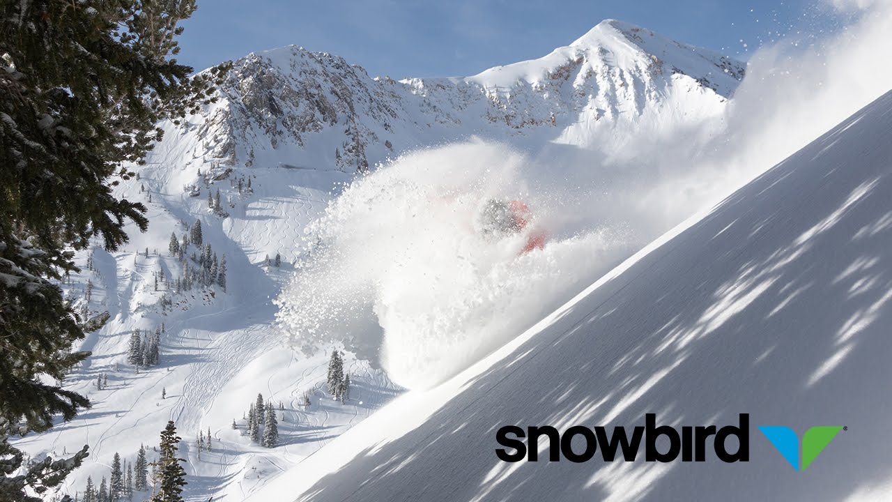 The Snow is GOOD and the Stoke is High - YouTube