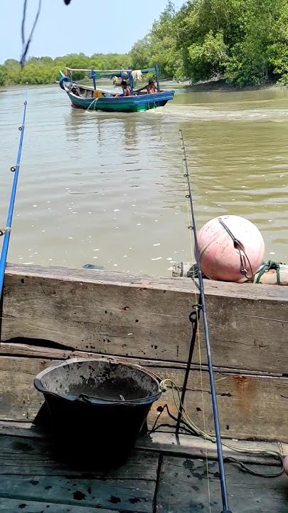 MANCING SAAT AIR MULAI PASANG! #mancing #fishing #mancingmania - YouTube
