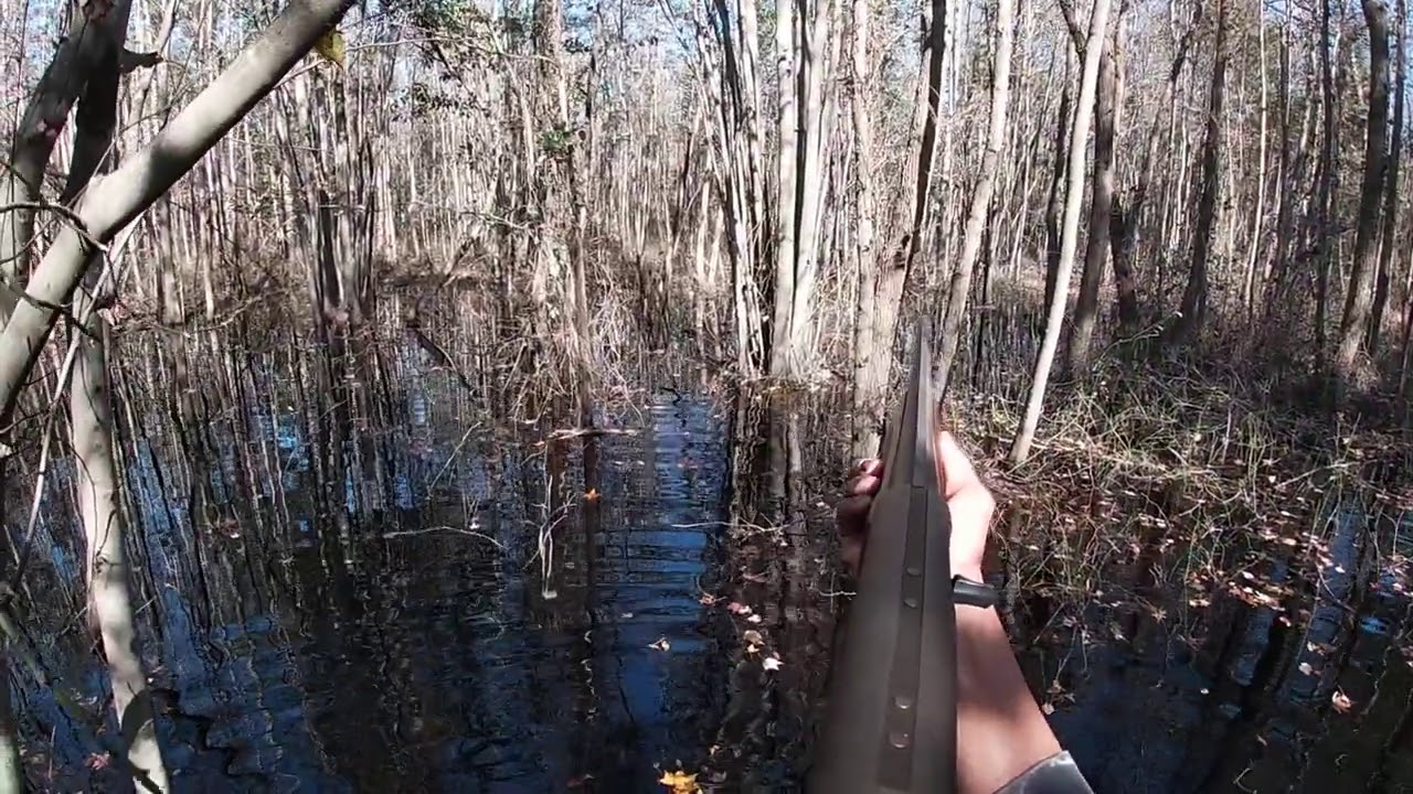 SC Deer Hunting w/ Dogs - Playing Offense and Defense - YouTube