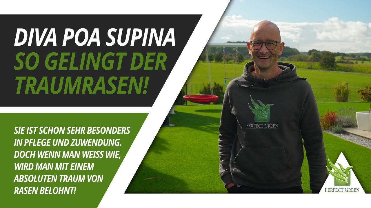 🌱 Traumrasen mit Poa Supina: So gelingt's mit der "Rasen-Diva"! 🌱 - YouTube