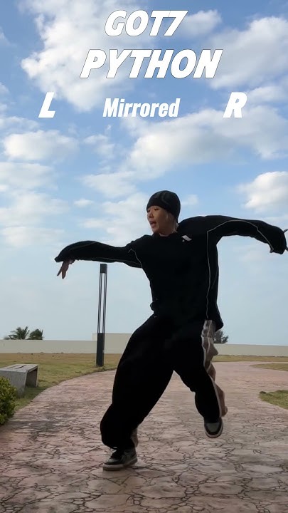 【Python】GOT7 副歌 翻跳 #got7 - YouTube