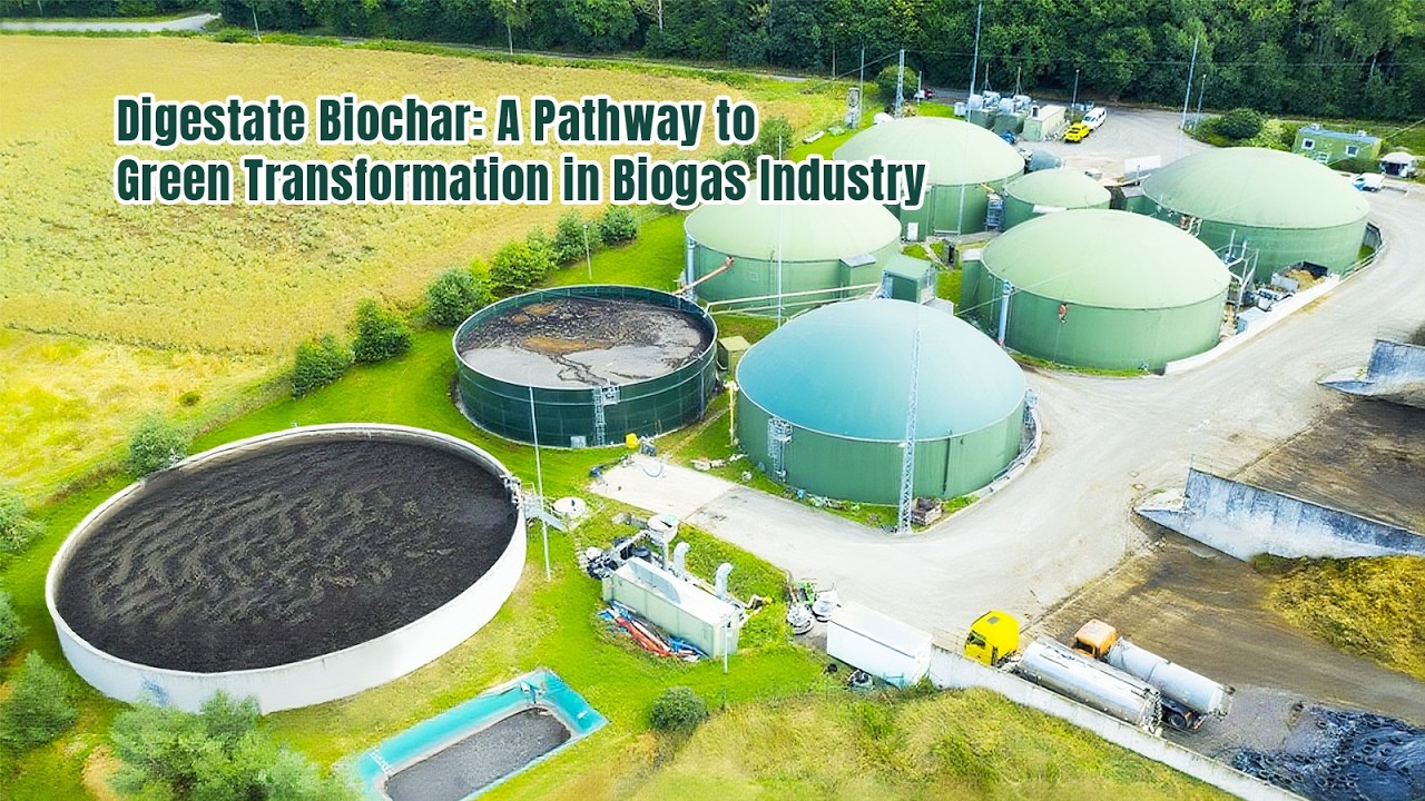 Digestate Biochar: A Pathway to Green Transformation in Biogas Industry ...
