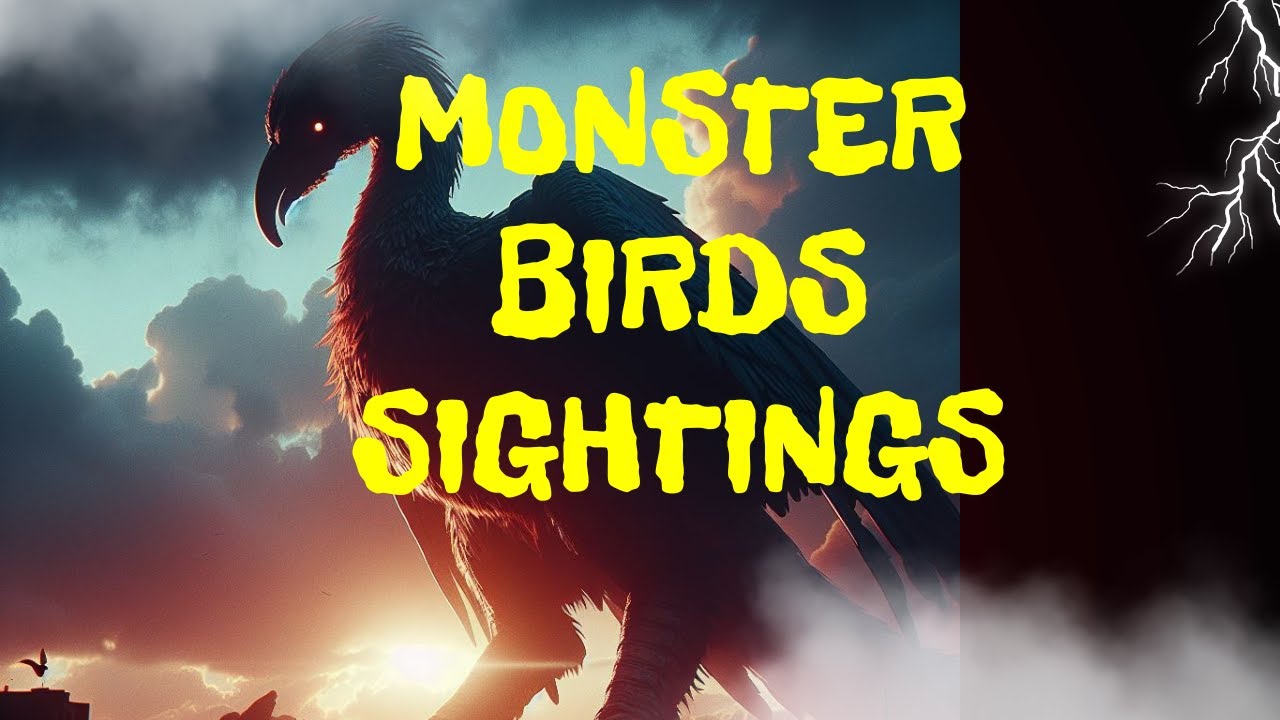 Giant Cryptid Bird Sightings - YouTube