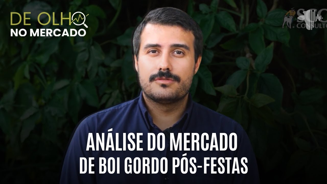 ANÁLISE DO MERCADO DE BOI GORDO PÓS-FESTAS | DE OLHO NO MERCADO - YouTube
