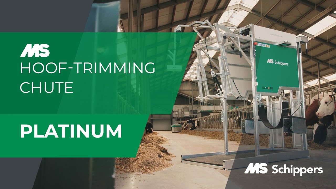 MS Hoof trimming chute Platinum | EN - YouTube
