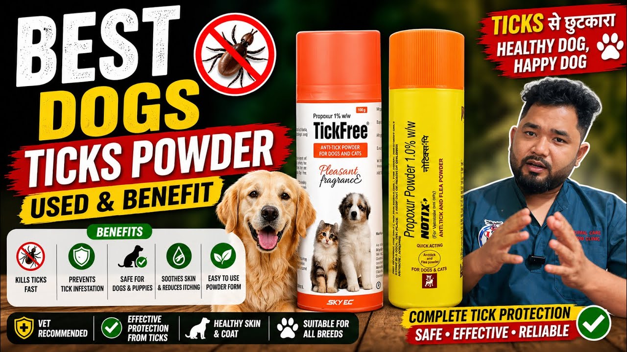 Dog Tick Powder Notix | dog tick shampoo || dog tick removal | best ...