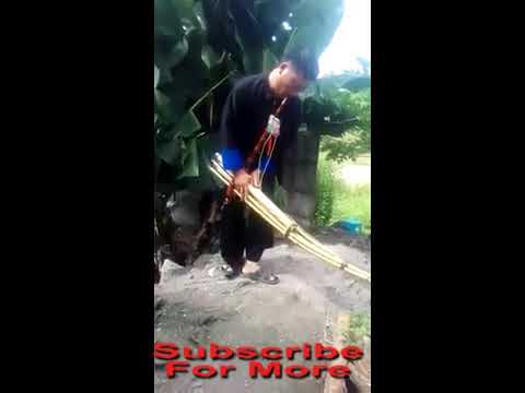 ncaiv tsab thoj ntiv qeej