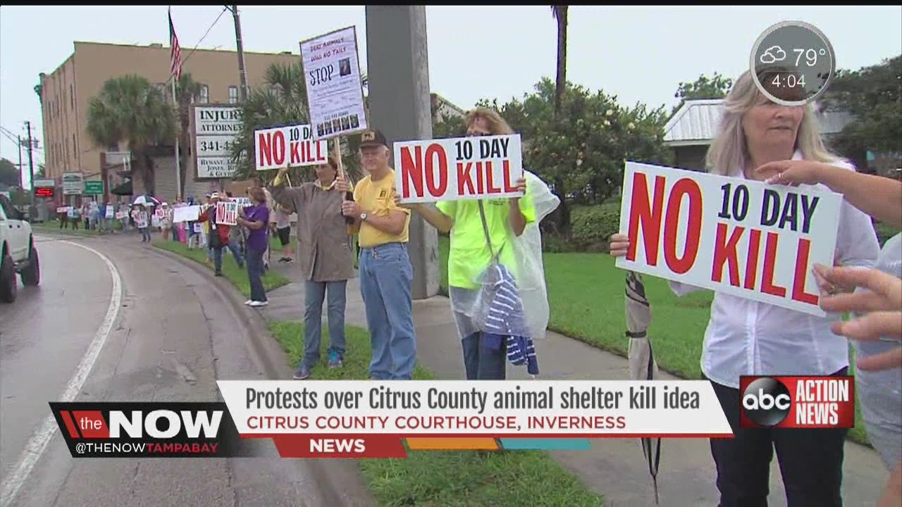 Citrus County animal shelter kill proposal draws protest - YouTube