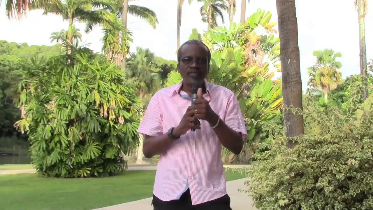 Daily Devotions - YouTube