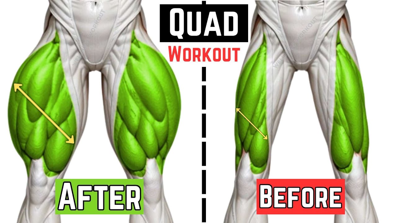 Best Quad Workout for Mass | Grow Bigger Quads Fast - YouTube