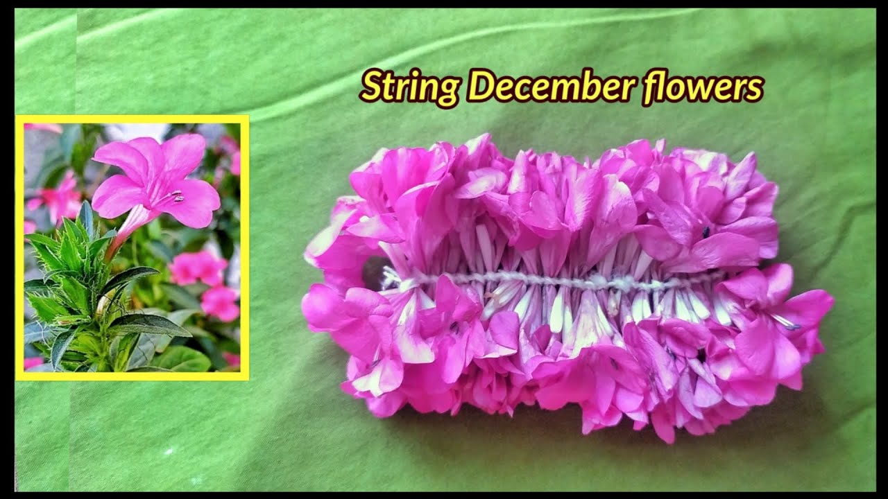 How to tie a December flower without a gap /String December flowers ...