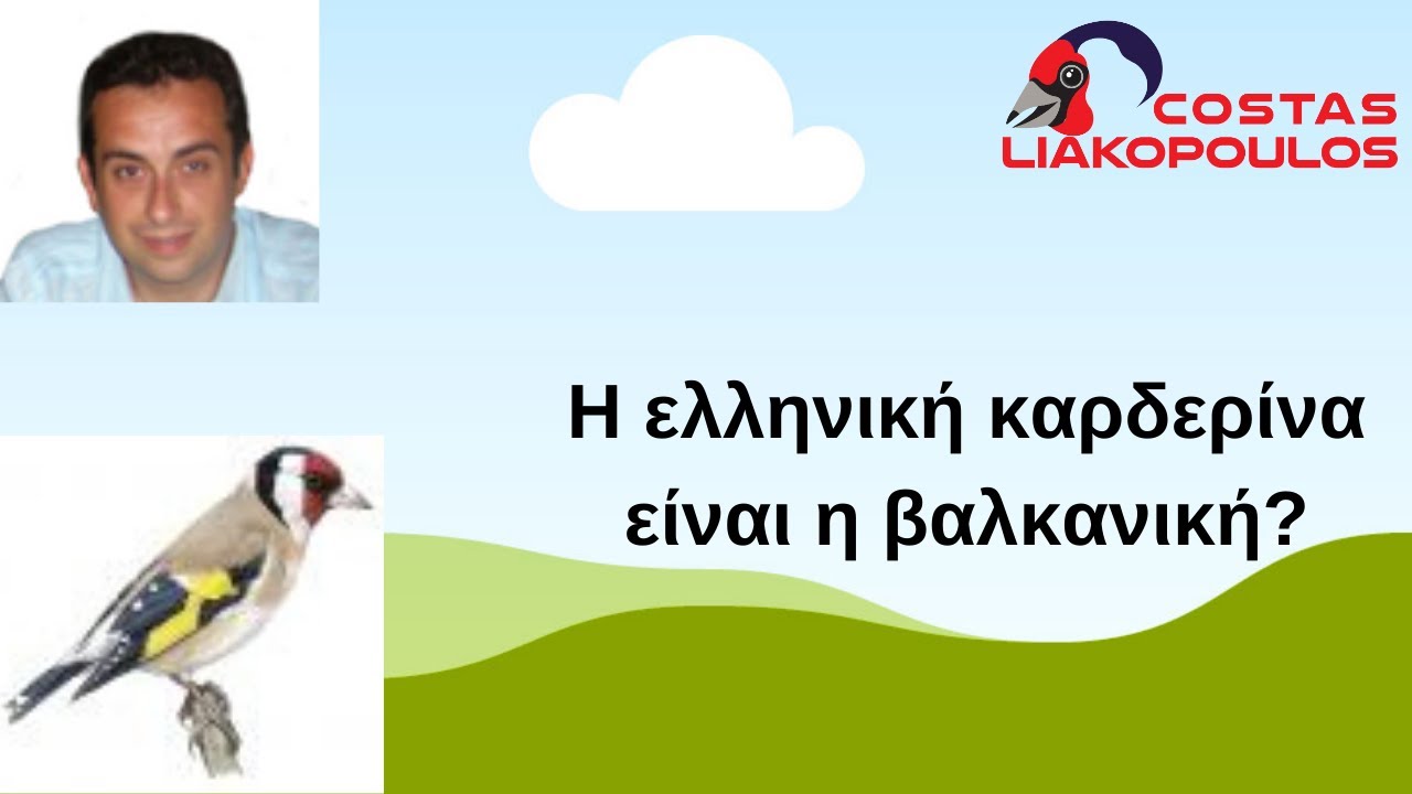Η ελληνική καρδερίνα είναι η βαλκανική? - YouTube