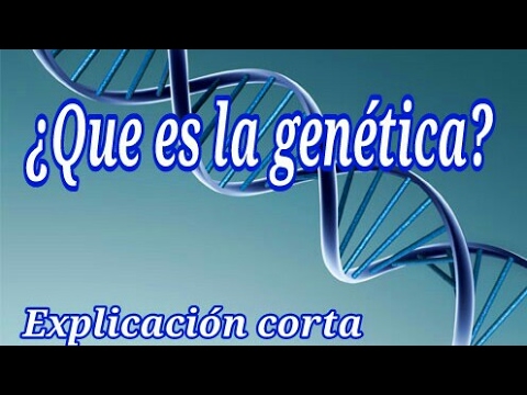 ¿Que es la genética? - Explicación - YouTube