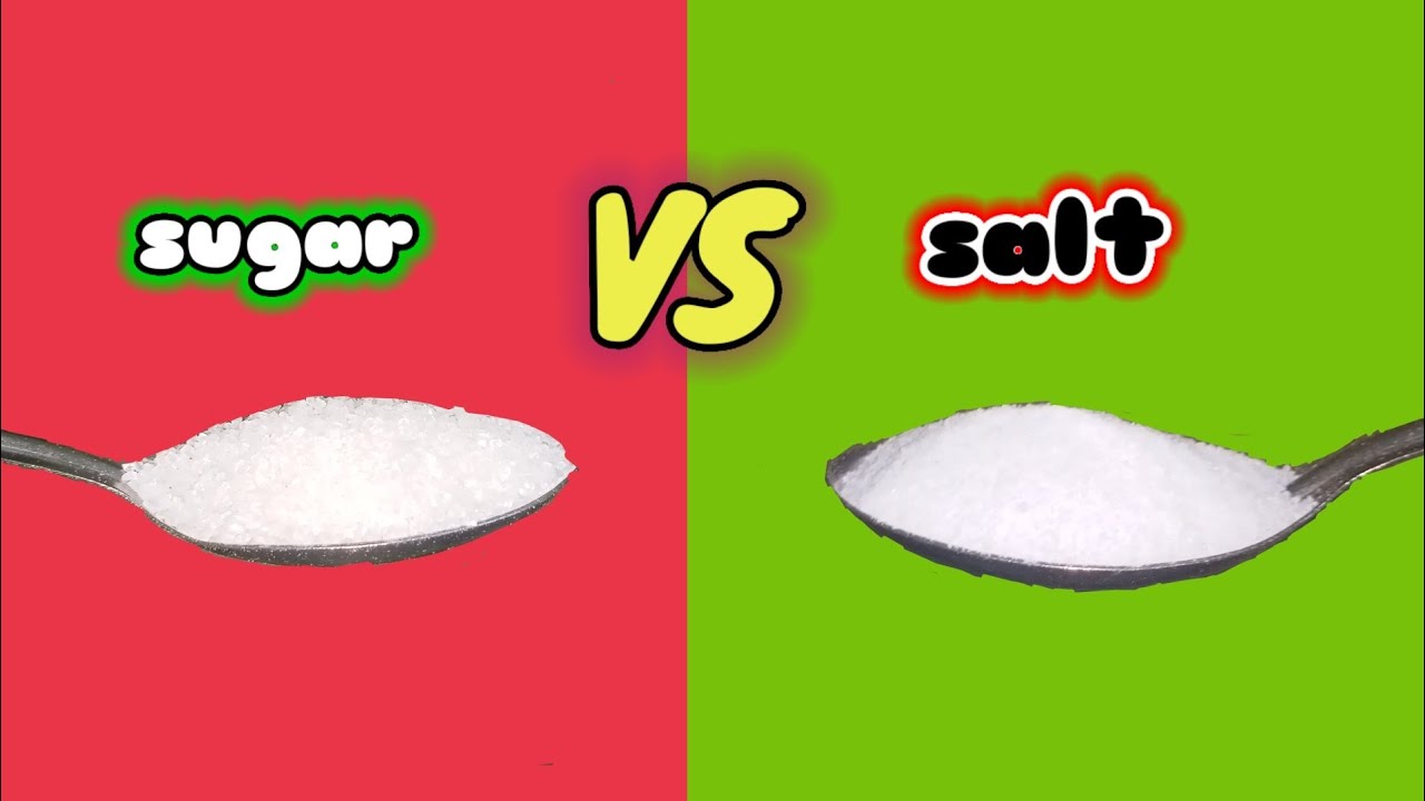 Sugar VS Salt 😱 || Experiment || Amazing!!! - YouTube