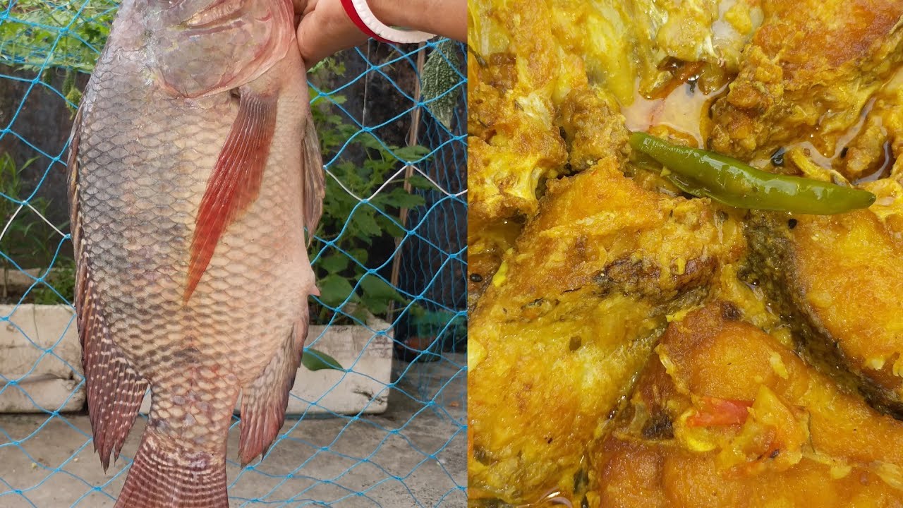 লাইলনটিকা মাছের ঝোল || Bengali lailantika Fish Curry Recipe || - YouTube