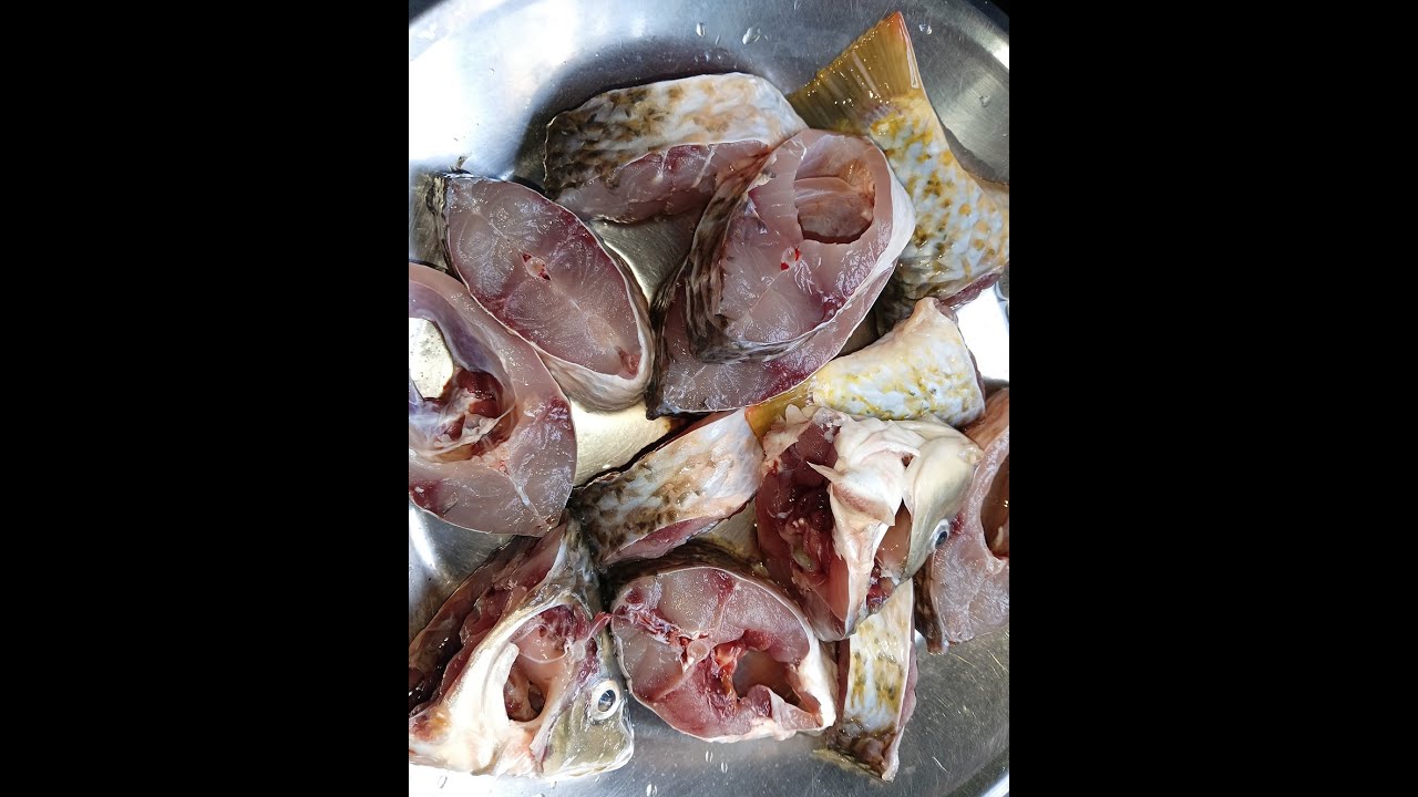 Village Style Home Cooking | Common carp | Kamal cut fish | With ...