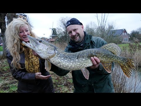 Matze Koch: Hechte mit Plötzen - Matzes Mätzchen 10-2017 - YouTube