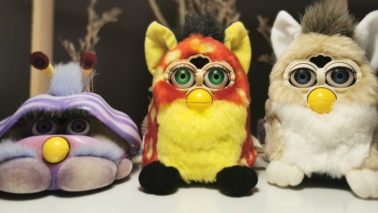 Spanish rusty dots, French bear Furby and Shelby 3-way conversation ...
