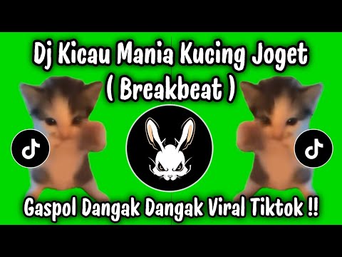 DJ KICAU MANIA KUCING ( BREAKBEAT ) - GASPOL DANGAK DANGAK VIRAL TIKTOK TERBARU YANG KALIAN CARI !