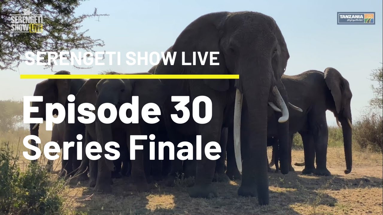 Episode 30 - Series Finale. - YouTube
