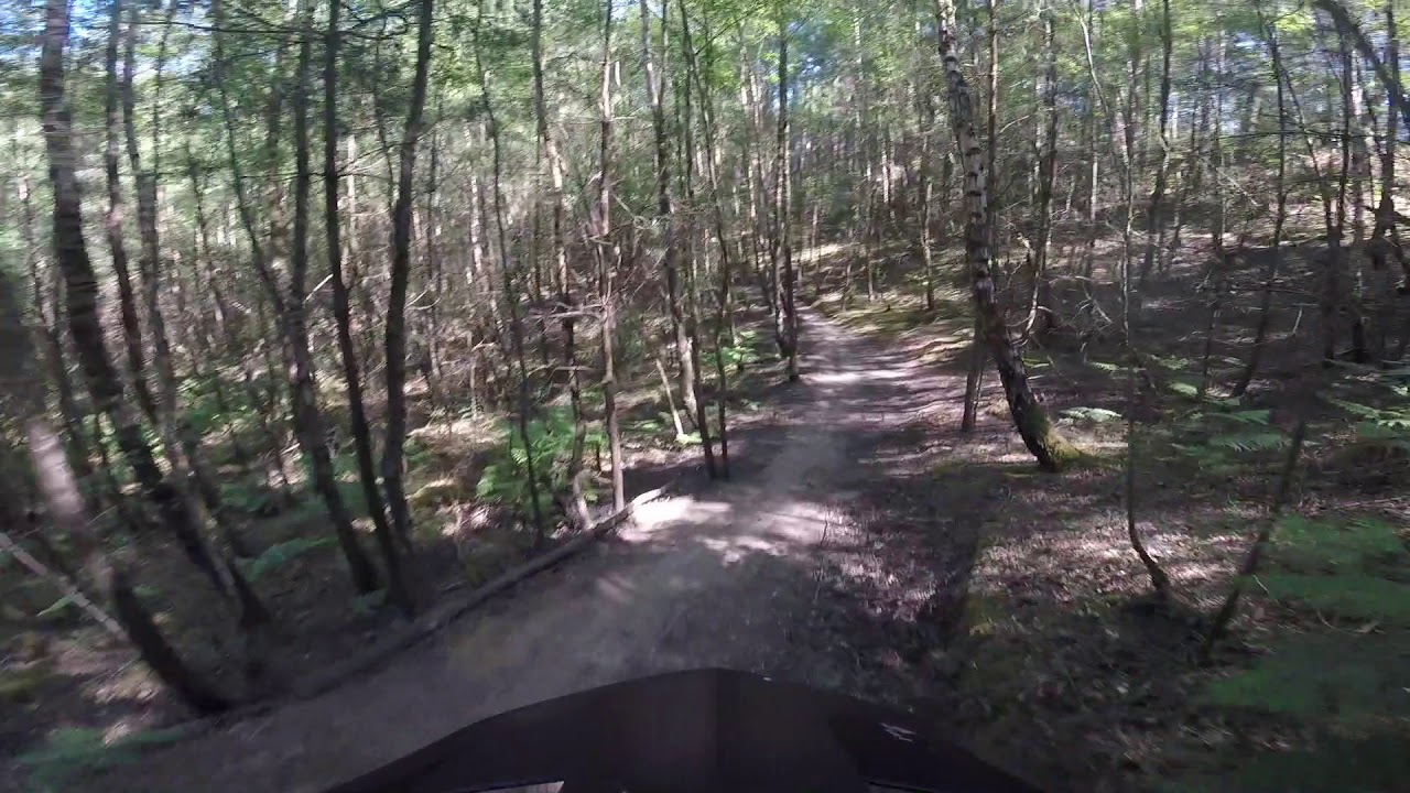 Swinley Forest - First ride - YouTube