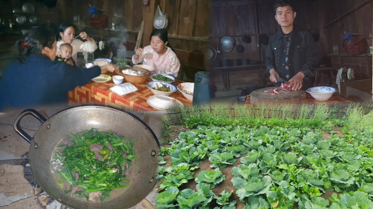 kib zaub noj hmo sawv txov saib zaub zaub qhwv qhwv qhwv lawm - YouTube