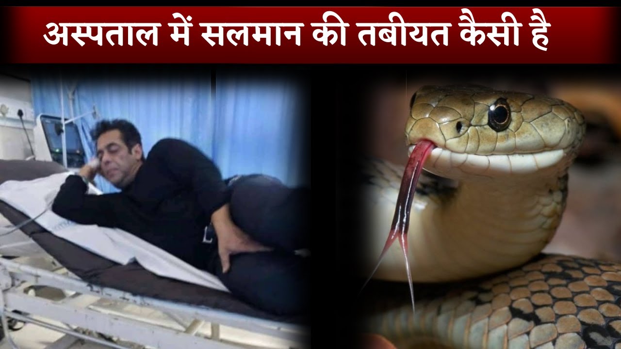 Doctors Speak On Salman Khan Bitten By Snake At Panvel Farmhouse - YouTube