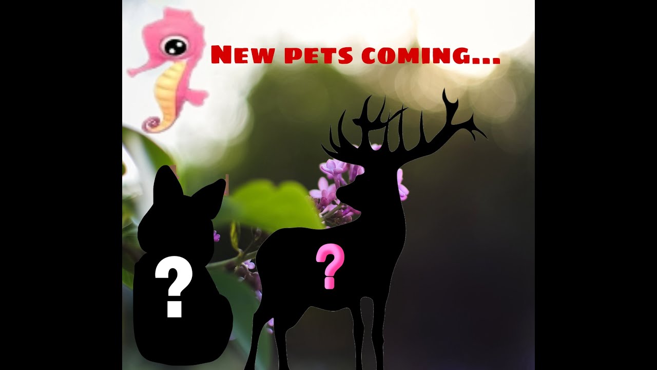 OMG! I just saw new pet models that were coming to adopt me... - YouTube