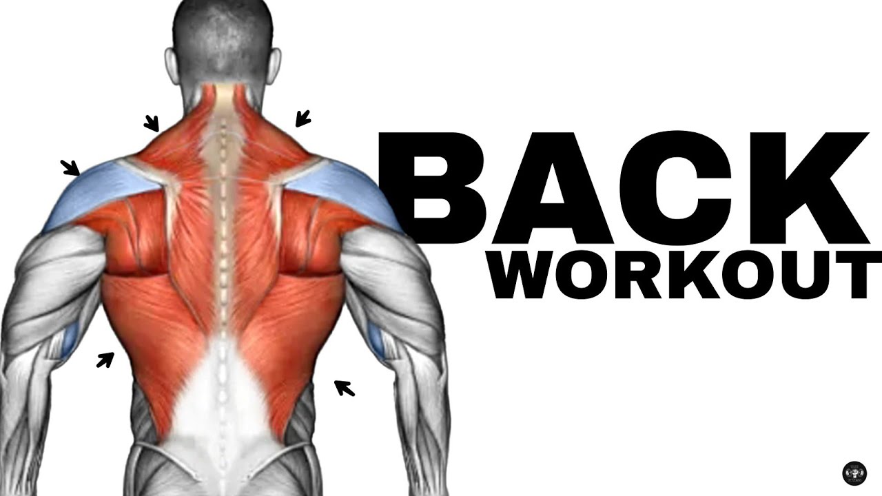 5 Easy Barbells Workout for Back Development - YouTube