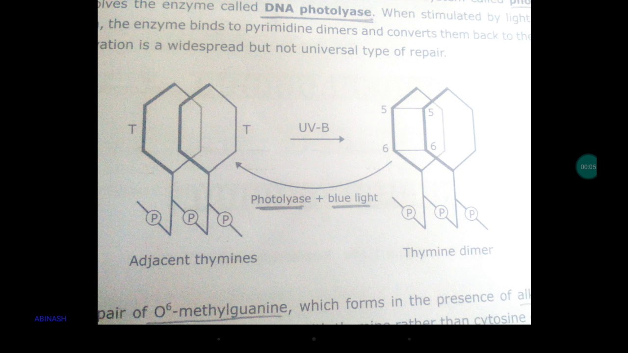 DNA repair types and mechanism by Abinash - YouTube