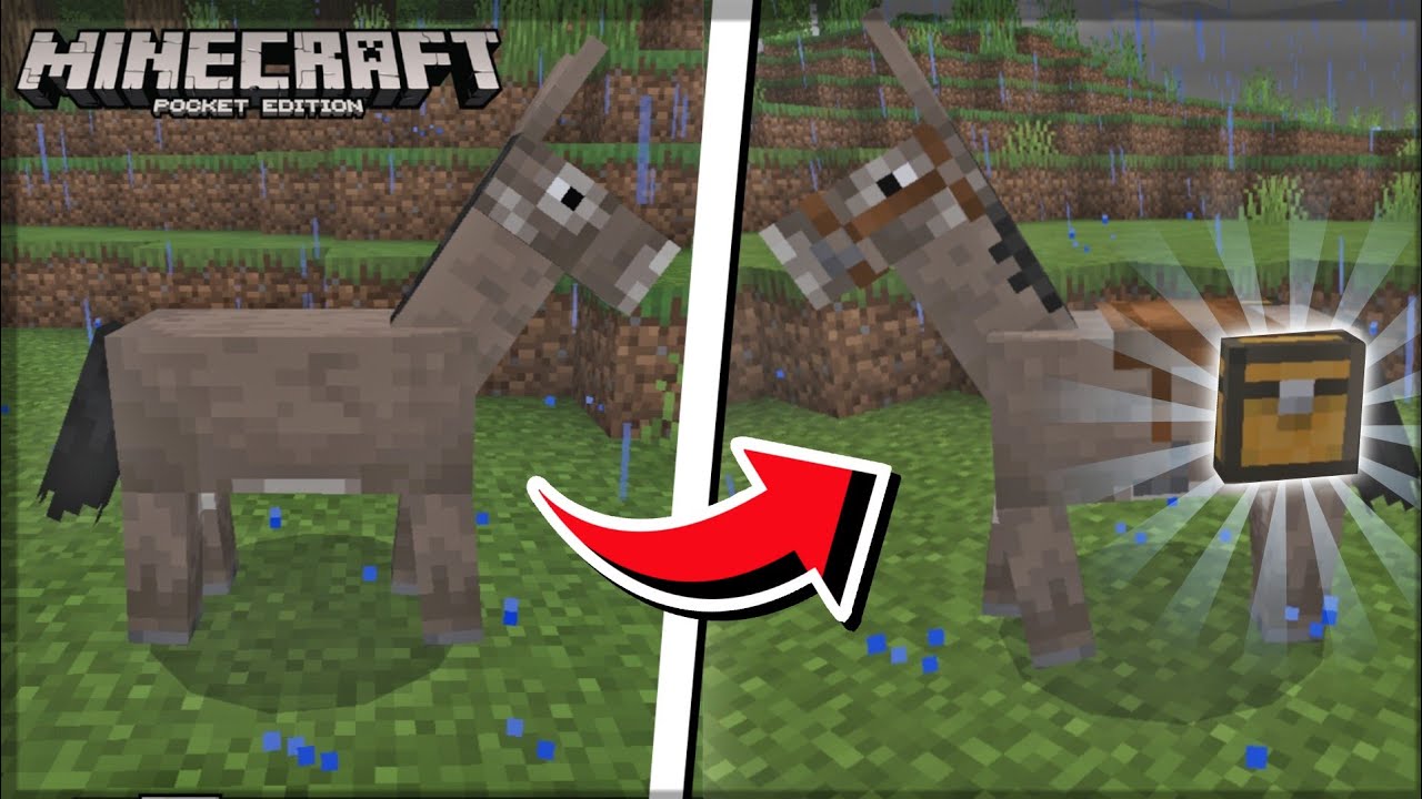 HOW TO ATTACH CHEST ON DONKEY MINECRAFT 1.16 | MCPE, BEDROCK, XBOX, PS4 ...