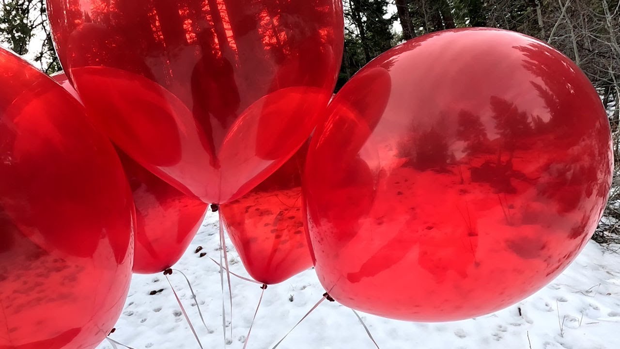 Hiking with 5 Crystal Red Helium Balloons, NonPop, 4K UHD, Forest ...