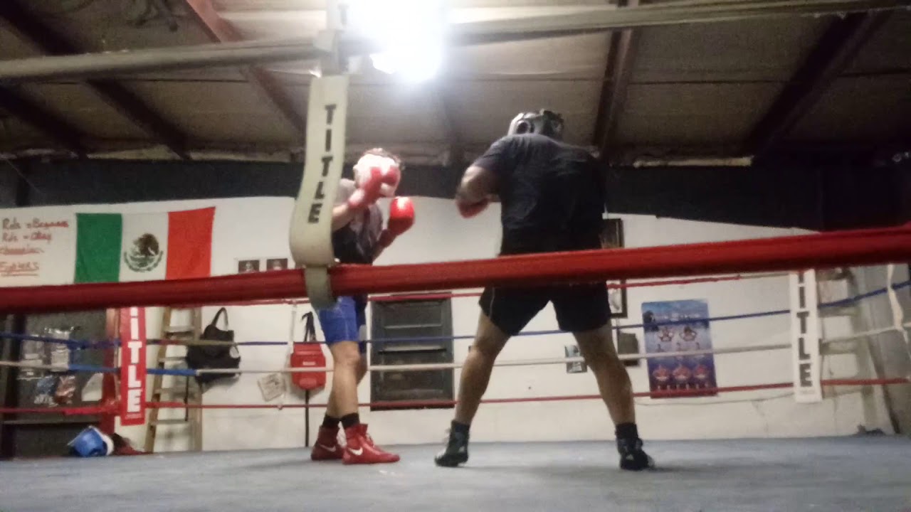 Light sparring - YouTube