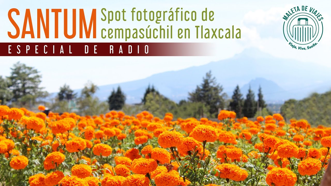 SANTUM | SPOT FOTOGRÁFICO DE CEMPASÚCHIL EN TLAXCALA - YouTube